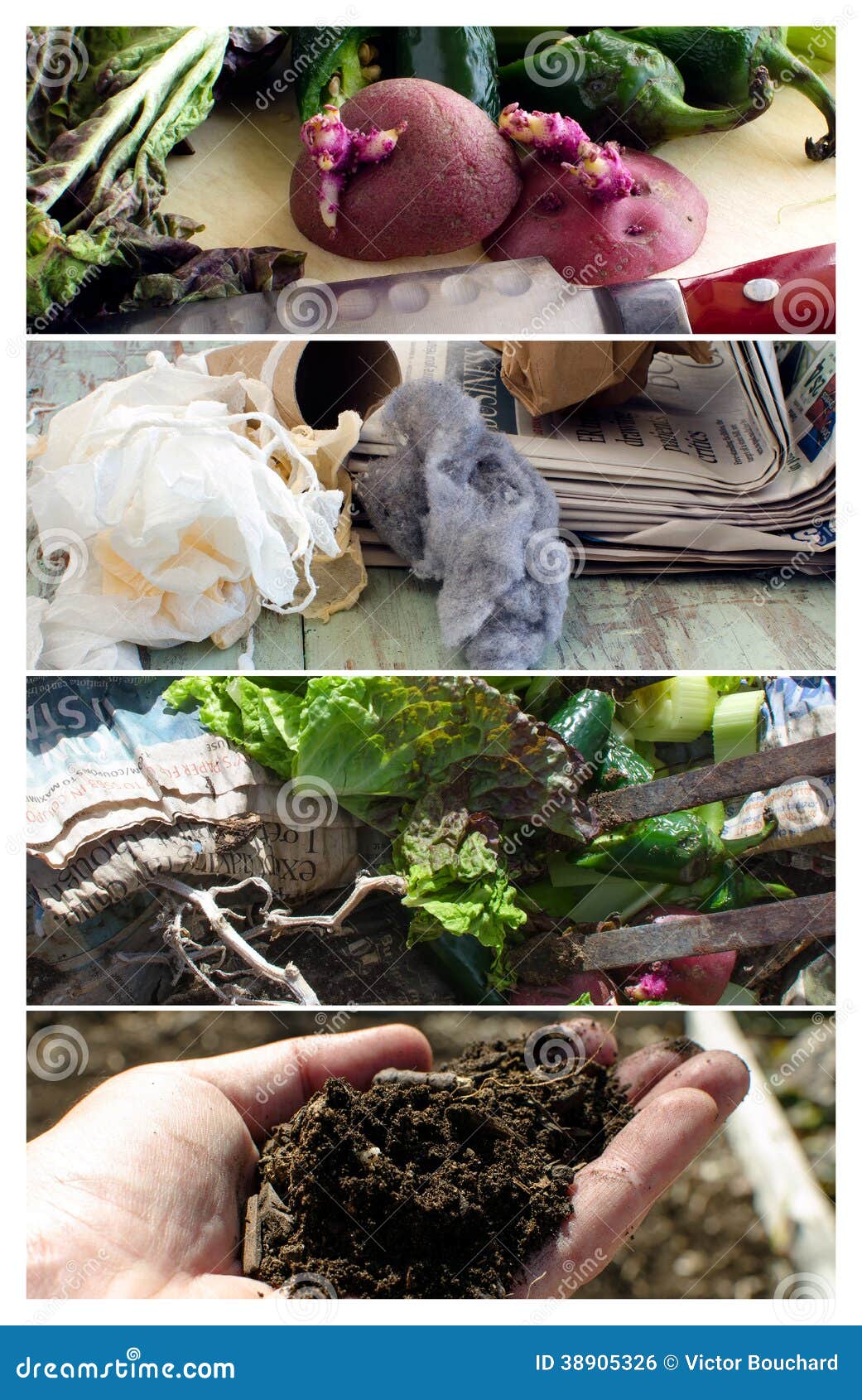 Composting kitchen scraps stock photo. Image of eating - 38905326