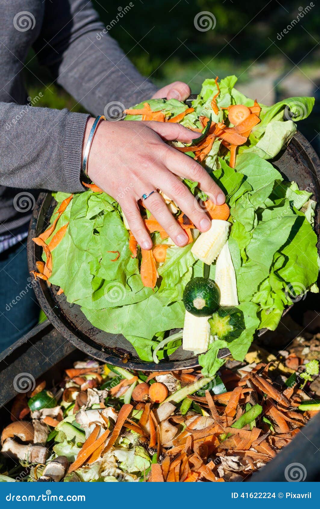 Composting stock photo. Image of household, compost, fertilizer - 41622224