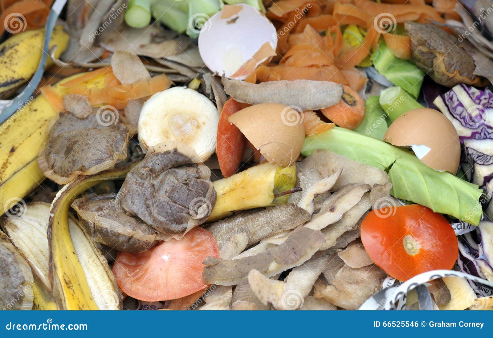 Composting materials stock photo. Image of compost, composting - 66525546