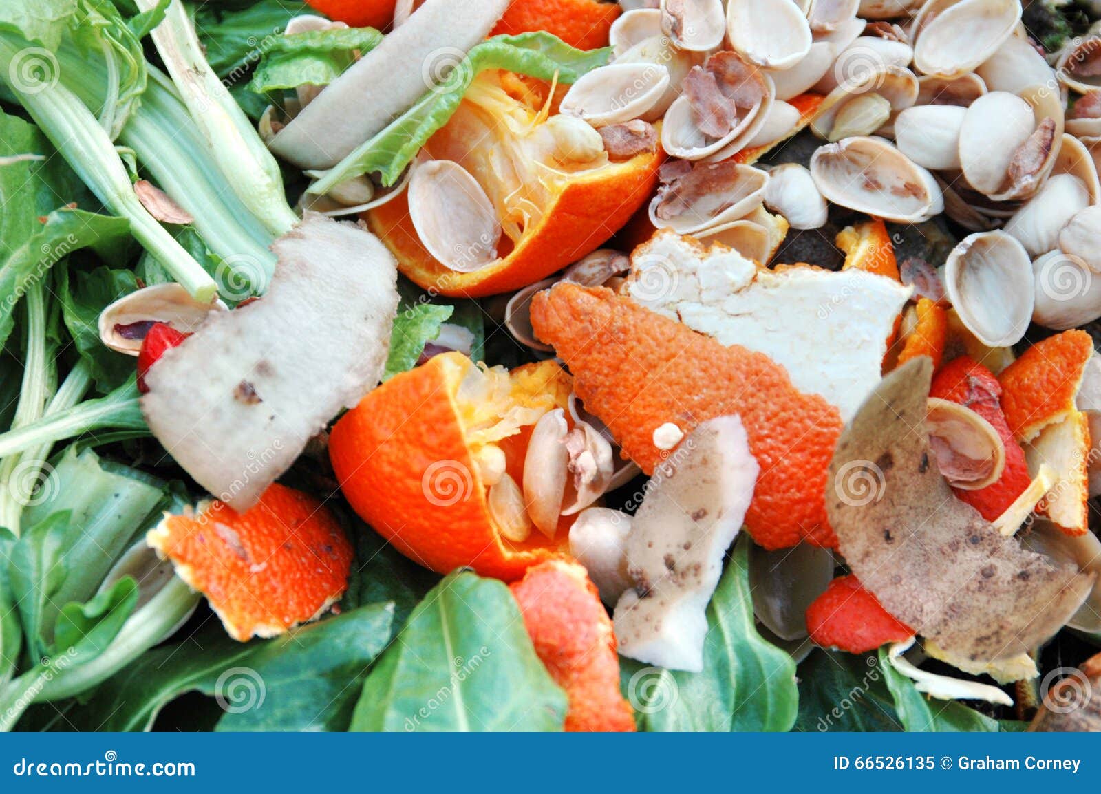 Composting materials stock image. Image of manure, fertilize - 66526135
