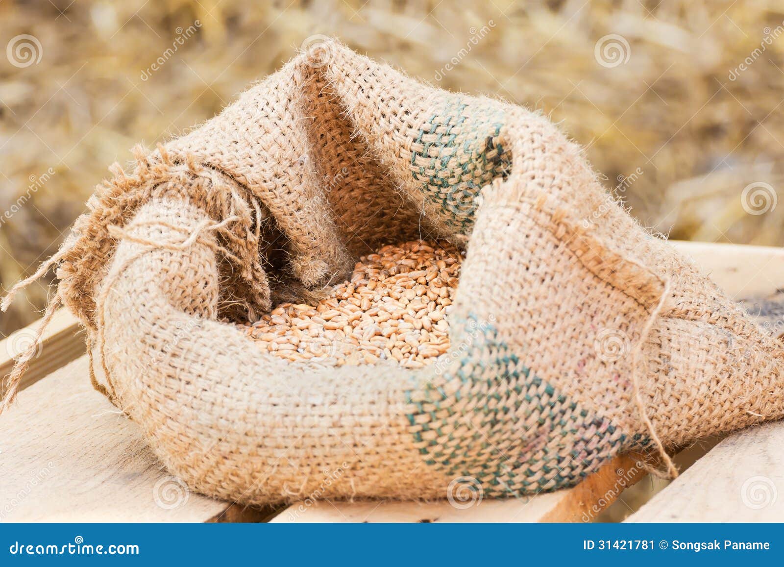 Compound Feed stock image. Image of feline, meal, distillers - 31421781