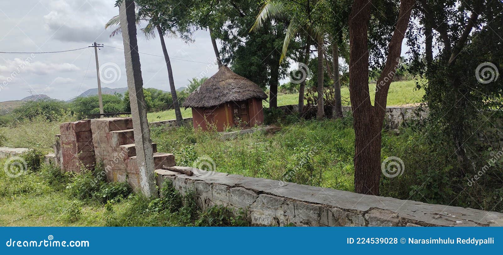 Compound Wall Small House Tree Stock Photo - Image of small, wall ...