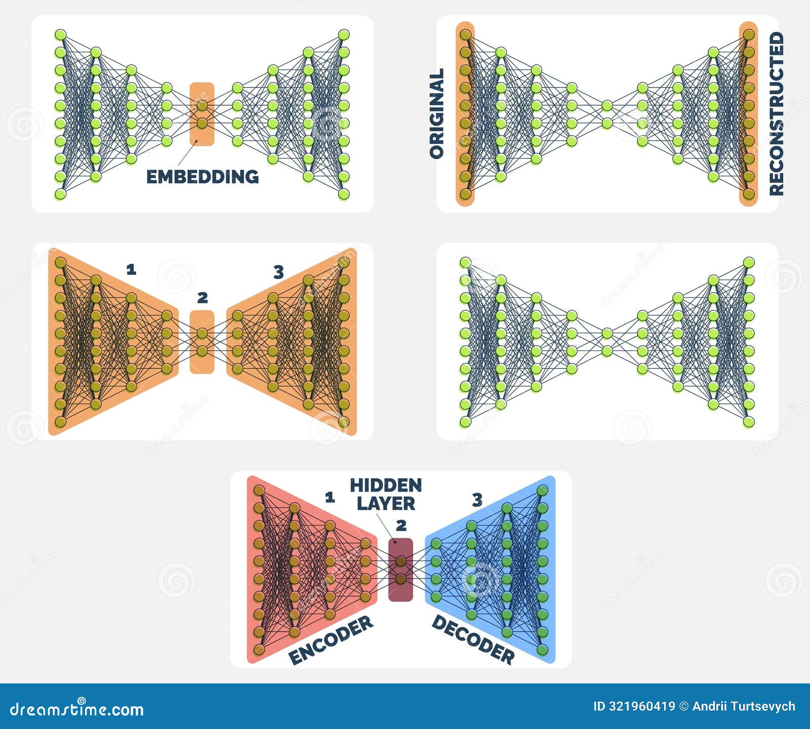 Comprehensive Autoencoder Neural Network Guide Encoding To Decoding Visuals Set Of Five