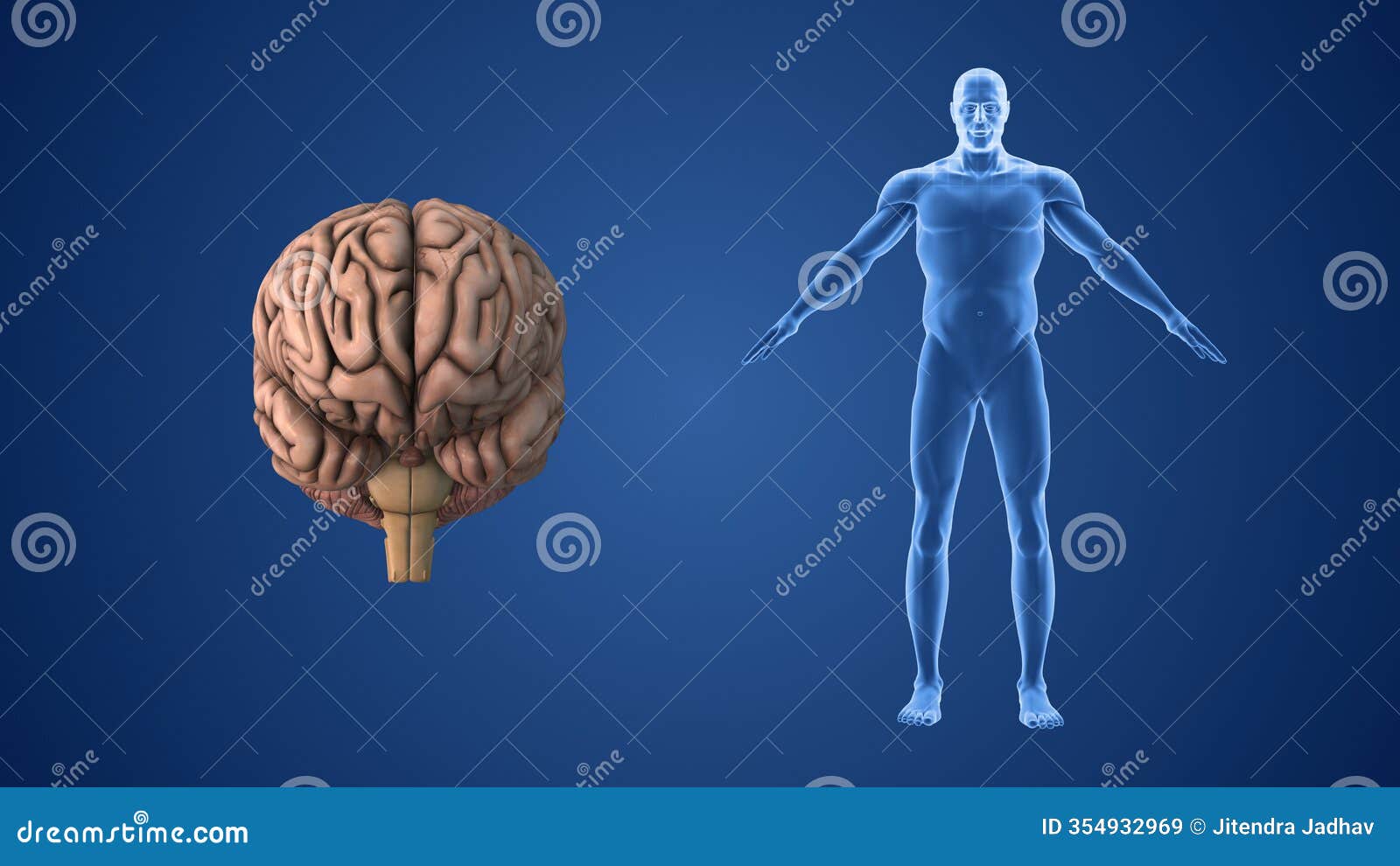 Comprehensive Assessment Blue Gradient Concept Icon Cartoon Vector ...