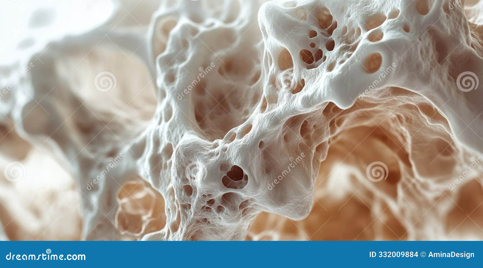 A Comprehensive Understanding of Bone Resorption and the Activity of ...