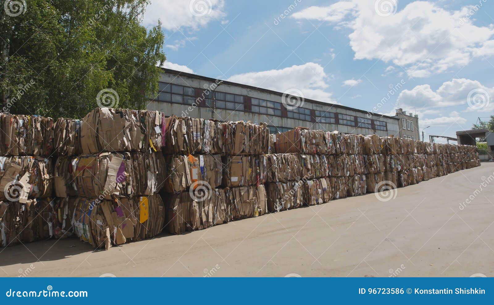Compressed Cardboard on the Territory Plant of the Recycling in Bales ...