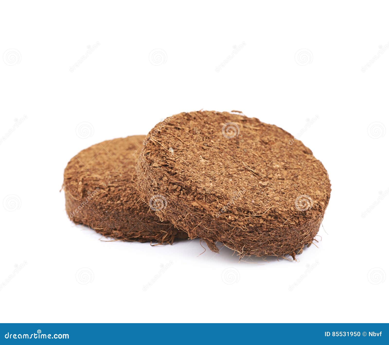 Compressed Compost Tablet Isolated Stock Photo - Image of earth ...