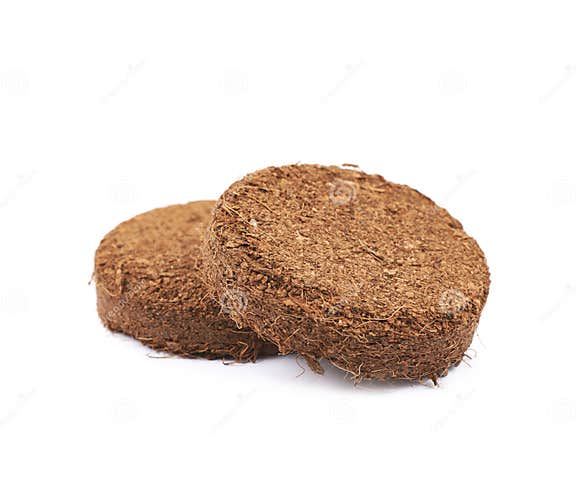 Compressed Compost Tablet Isolated Stock Photo - Image of earth ...