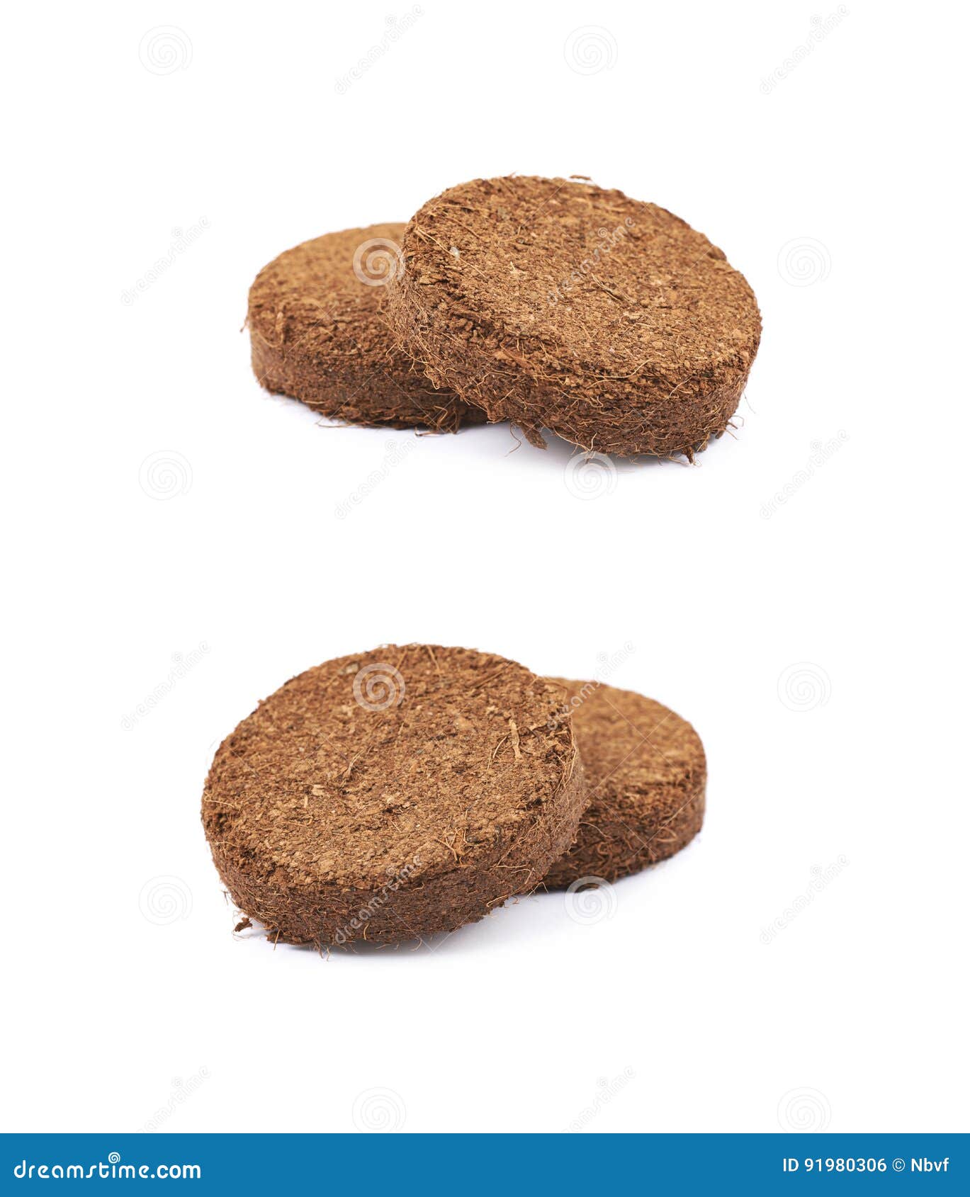 Compressed Compost Tablet Isolated Stock Photo - Image of garden ...