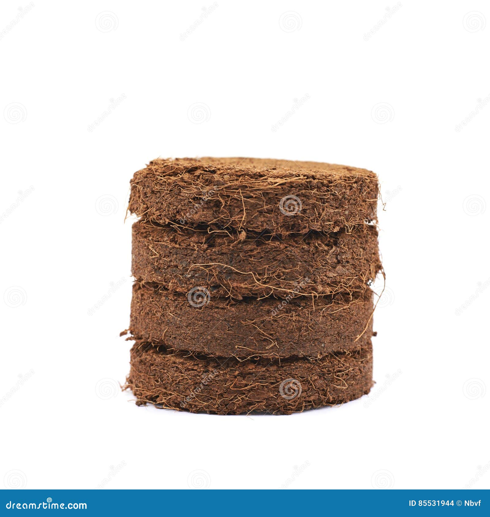 Compressed Compost Tablet Isolated Stock Photo - Image of container ...