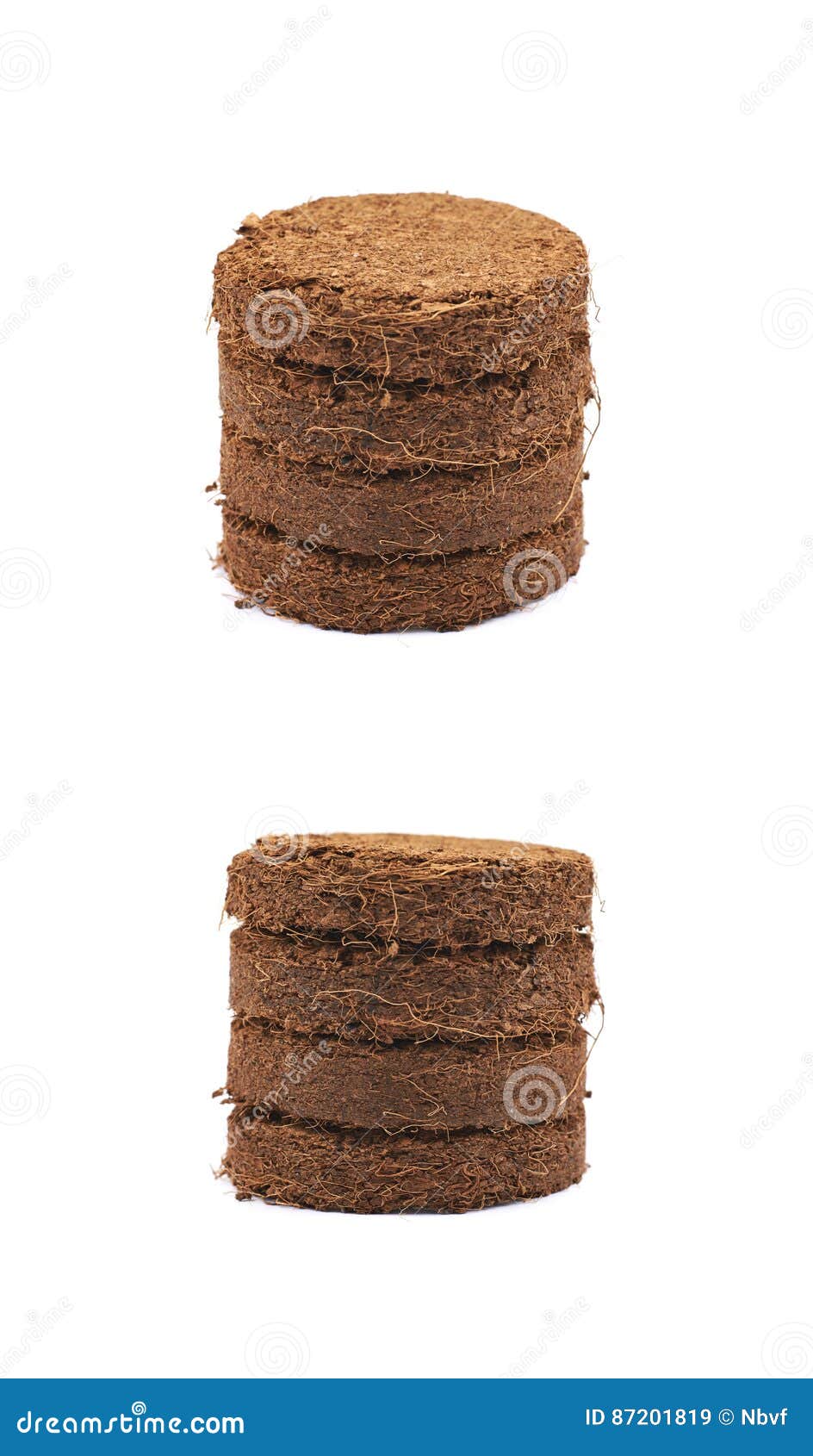 Compressed Compost Tablet Isolated Stock Image - Image of cultivation ...