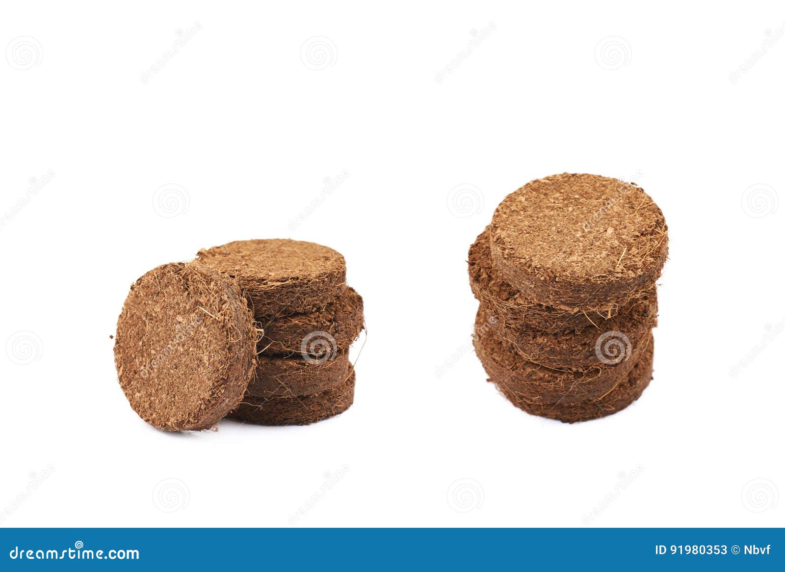 Compressed Compost Tablet Isolated Stock Image - Image of grow ...