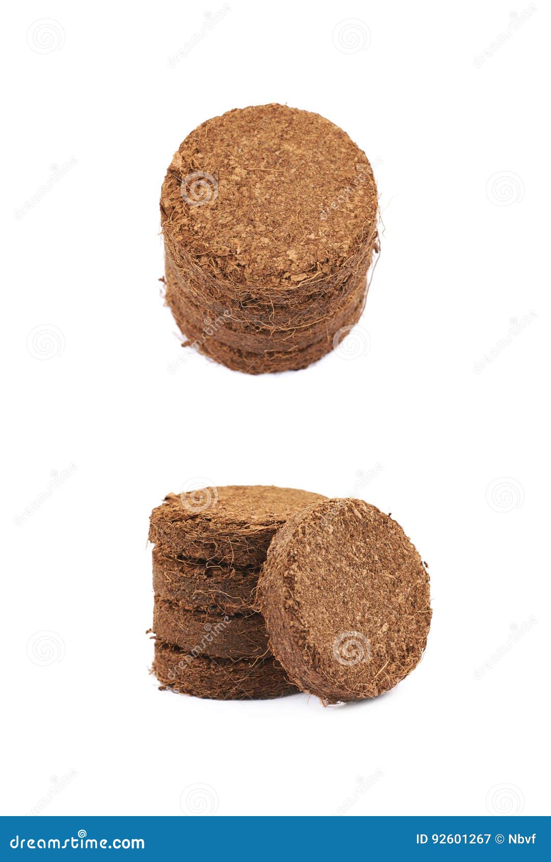 Compressed Compost Tablet Isolated Stock Image - Image of organic ...