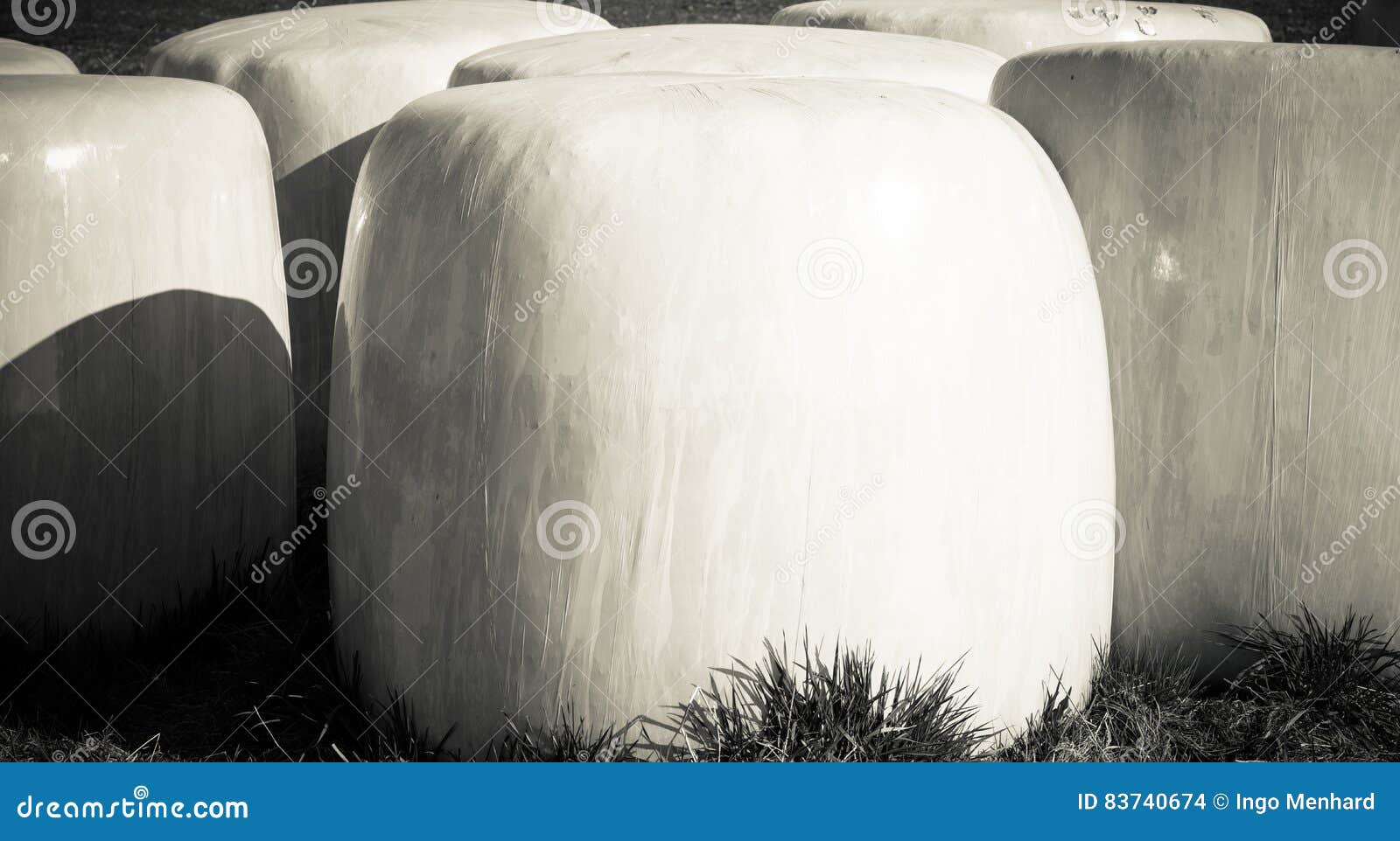 Compressed hay stock photo. Image of life, agriculture - 83740674