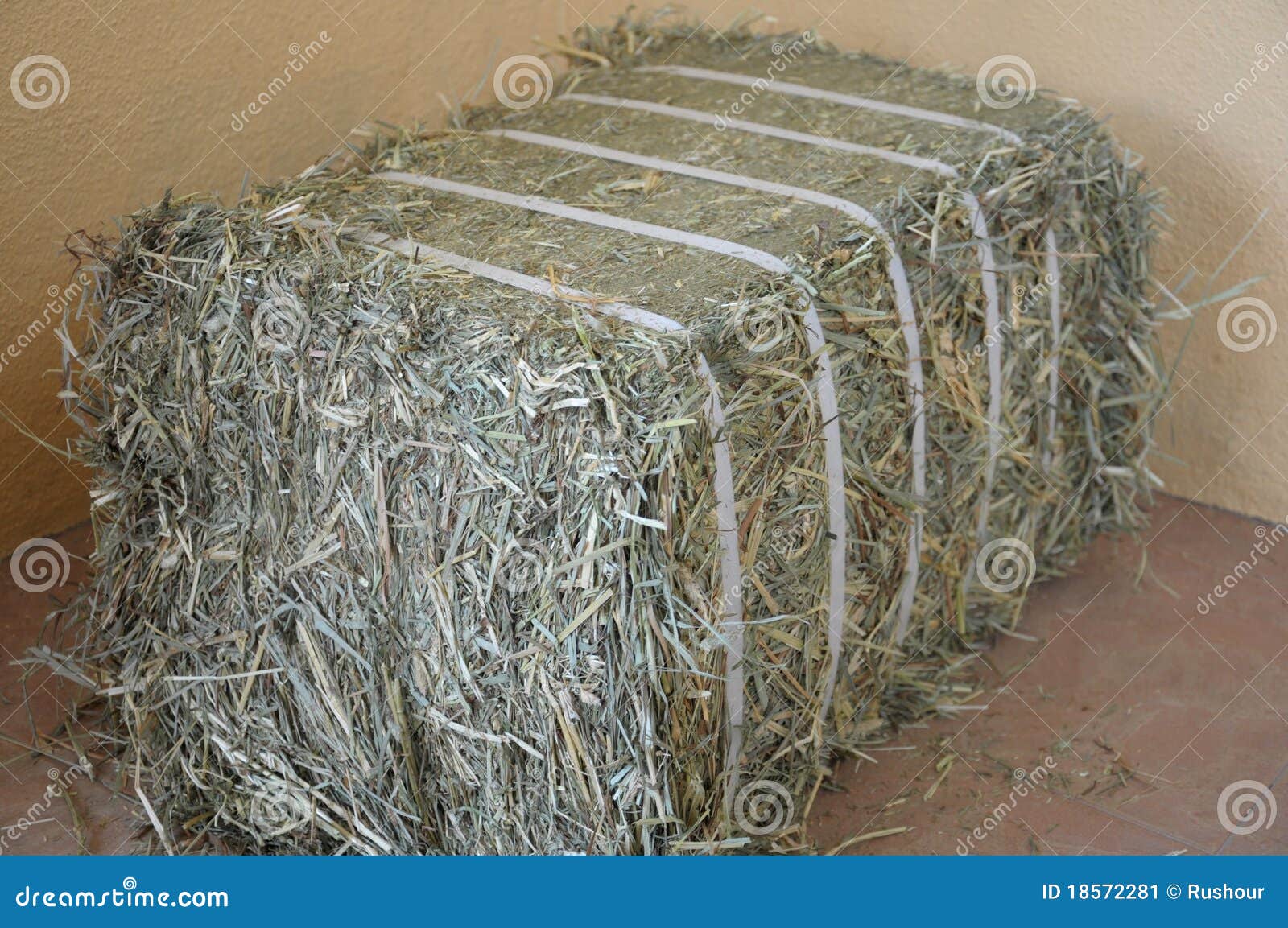 Compressed Hay Bale stock image. Image of equestrian - 18572281