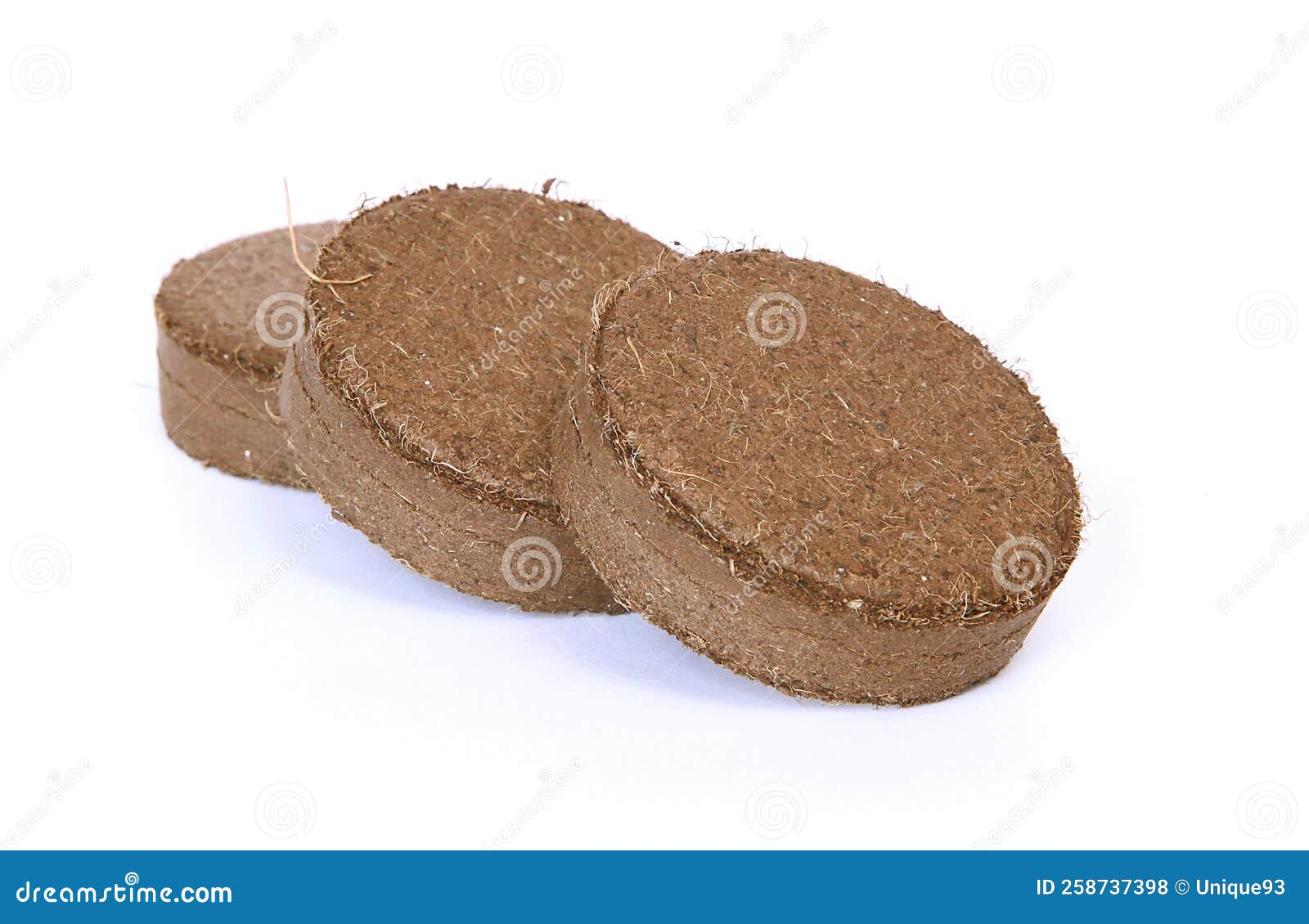 Compressed peat pebbles stock photo. Image of peat, compost - 258737398