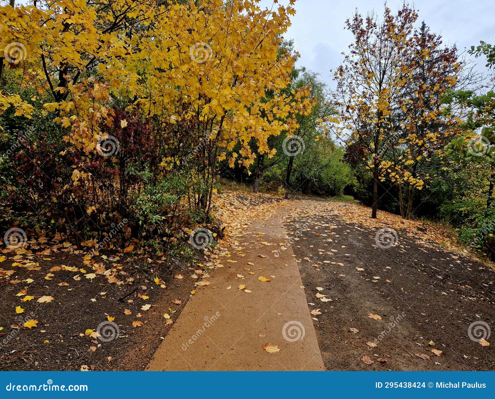 Compressing the Gravel of the New Park Threshing Path. Stock Photo ...
