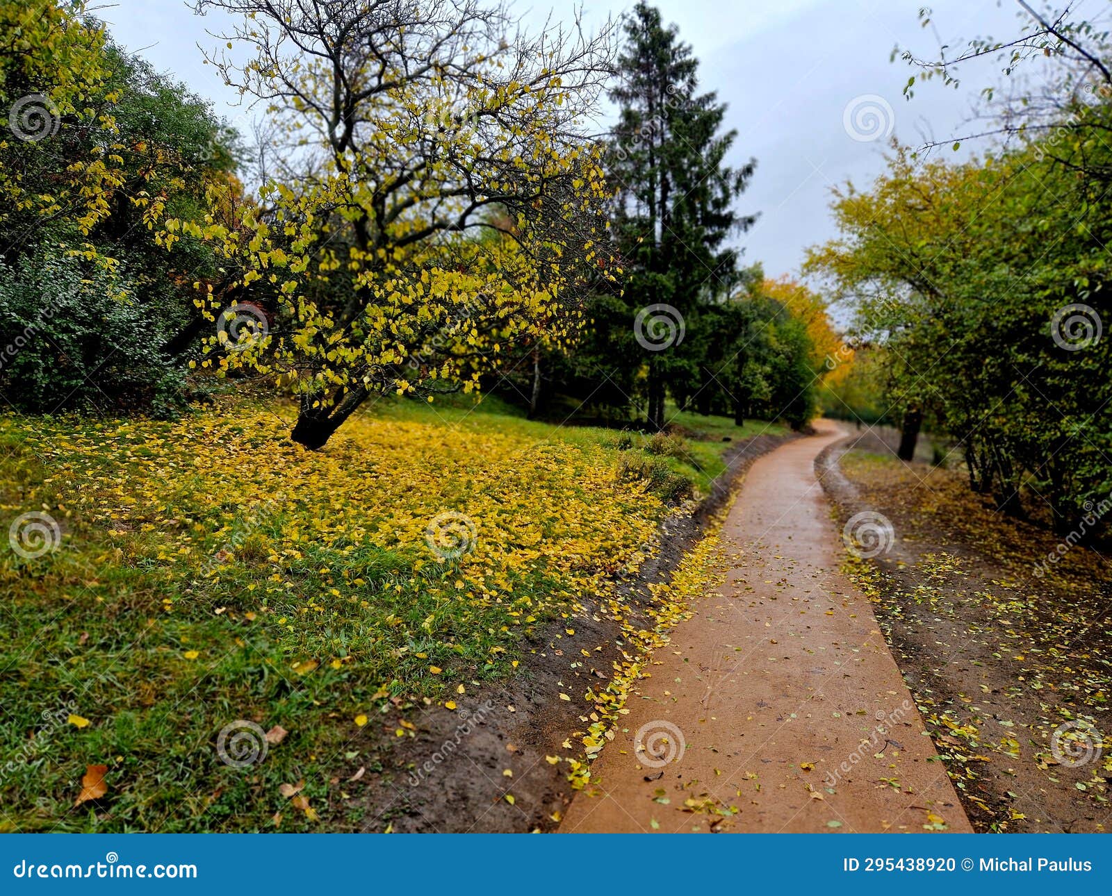 Compressing the Gravel of the New Park Threshing Path. Stock Photo ...