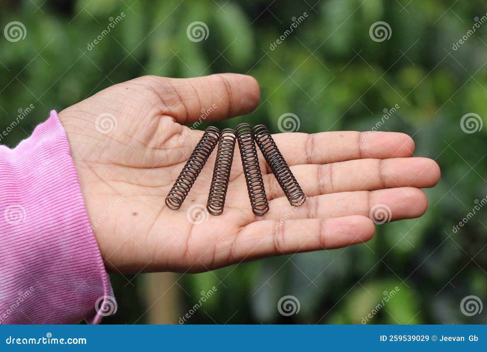 Compression Springs Held in Hand on a Nature Background Stock Image ...