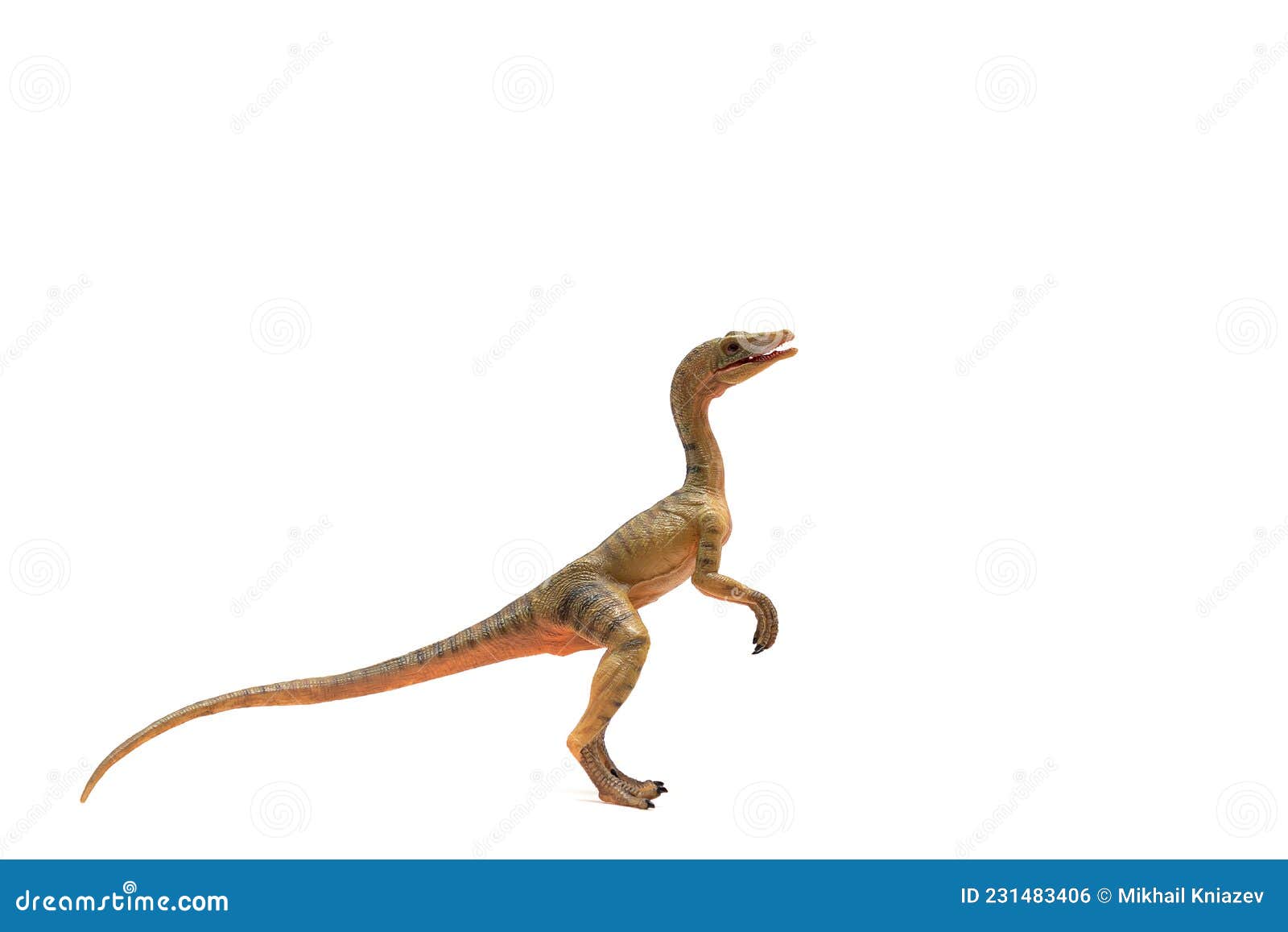 Compsognathus or Compy. stock photo. Image of extinct - 231483406