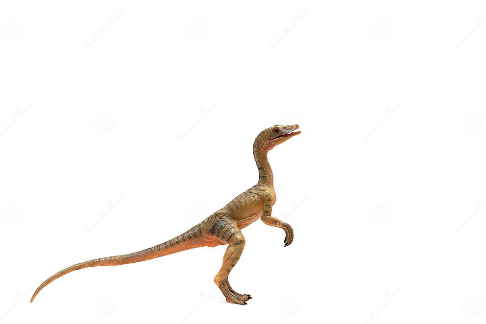 Compsognathus or Compy. stock photo. Image of extinct - 231483406