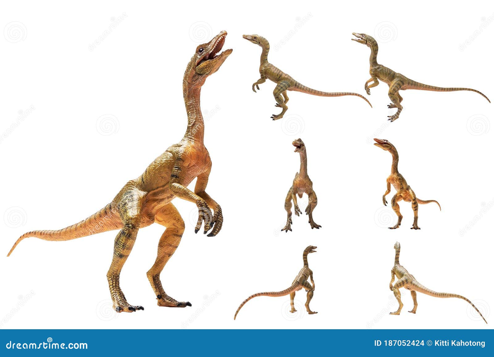 Compsognathus Dinosaur Stock Photos - Free & Royalty-Free Stock Photos ...