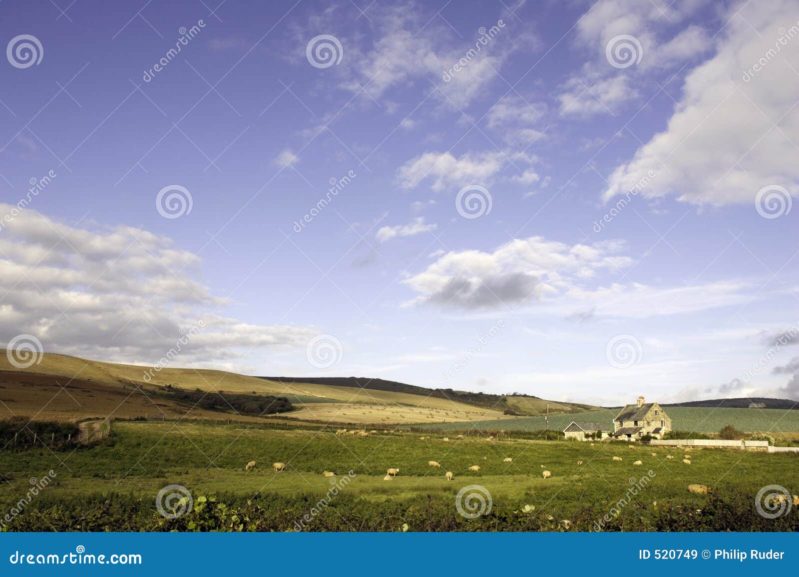 Compton Down I.O.W stock image. Image of hedge, farmland - 520749