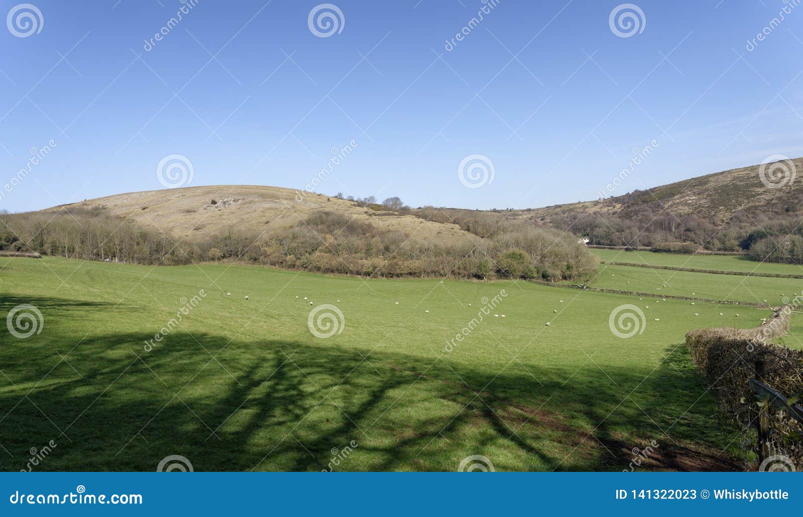 Compton Hill, Compton Bishop Stock Image - Image of hill, hedge: 141322023