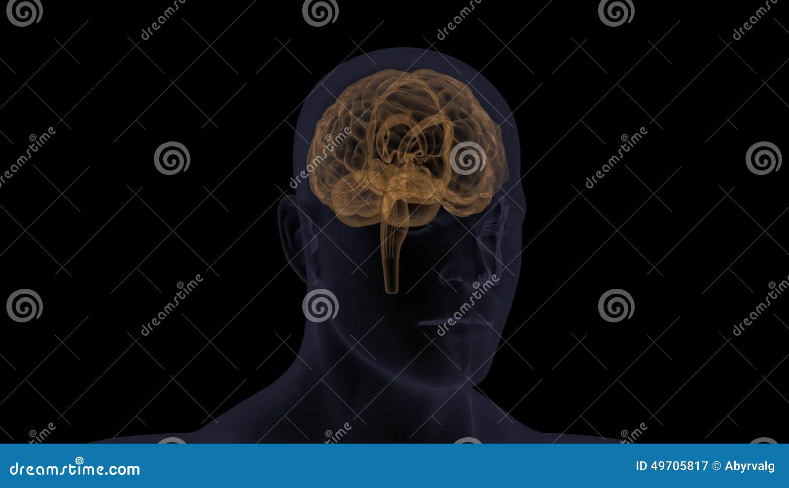 Computer Animation of a Human Brain Scan Turn Around Stock Video ...