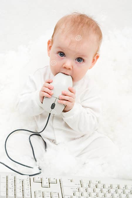 Computer baby stock image. Image of keyboards, mouse, computers - 2301151