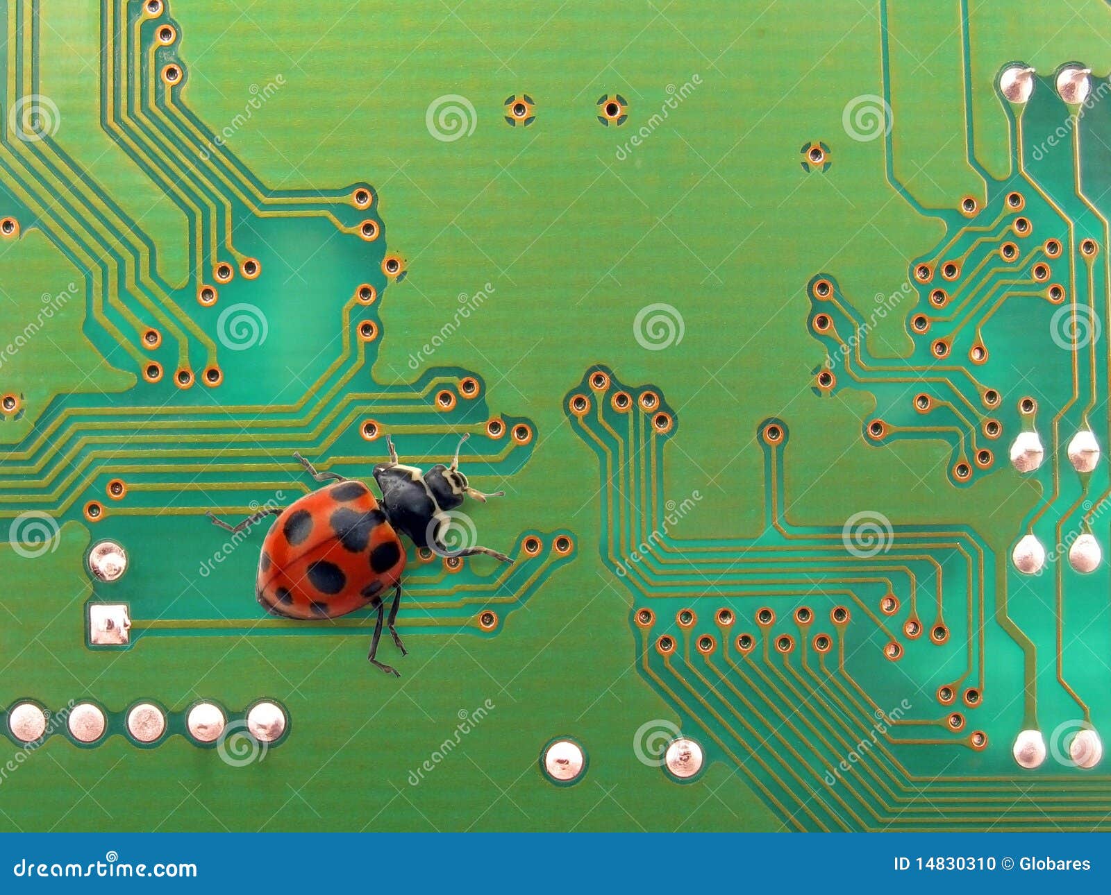 Computer bug stock photo. Image of concept, hardware - 14830310