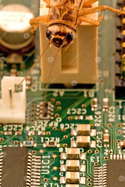 Computer bug stock photo. Image of binary, laptop, broken - 5640832