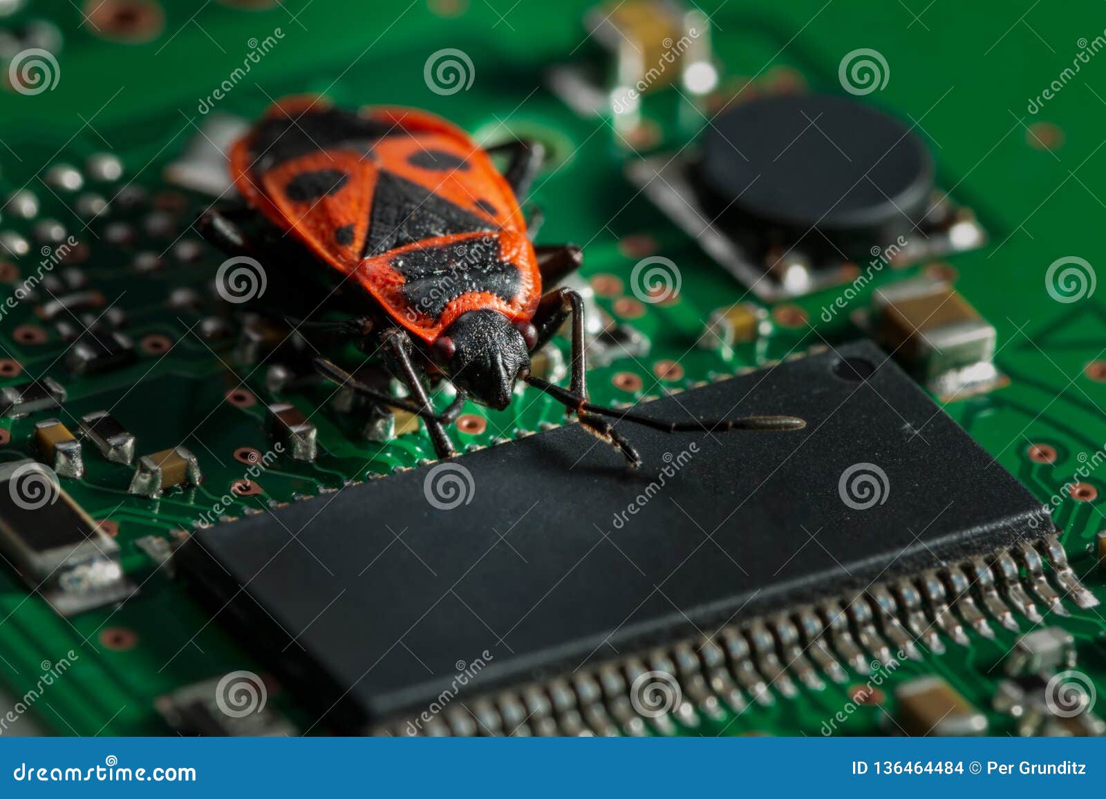 A Computer Bug Causing Trouble - on a Circuit Board Stock Photo - Image ...