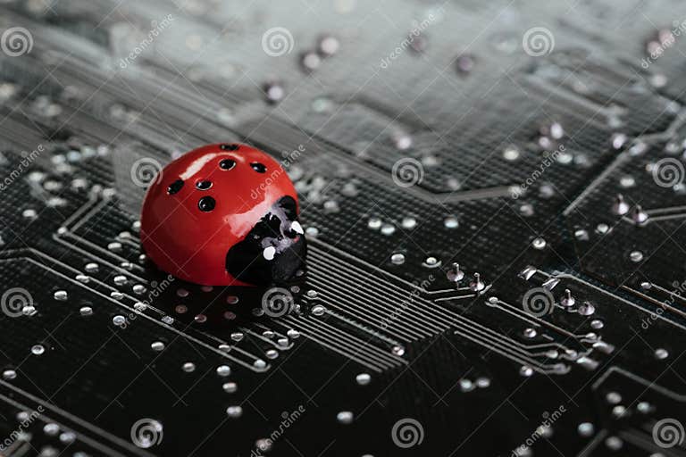 Computer Bug, Failure or Error of Software and Hardware Concept ...