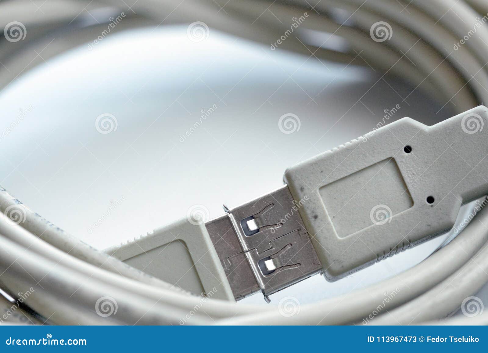 The Computer Cabel Connection of Macro View. Stock Image - Image of ...