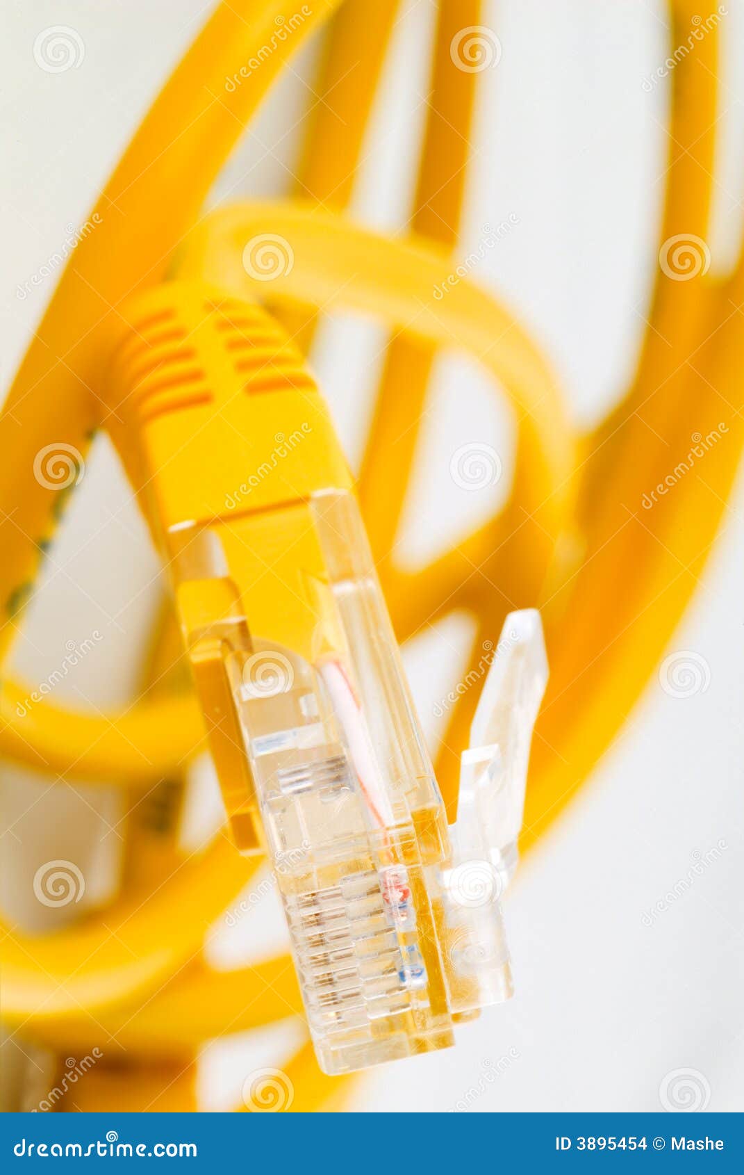 Computer cable stock photo. Image of electric, industry - 3895454
