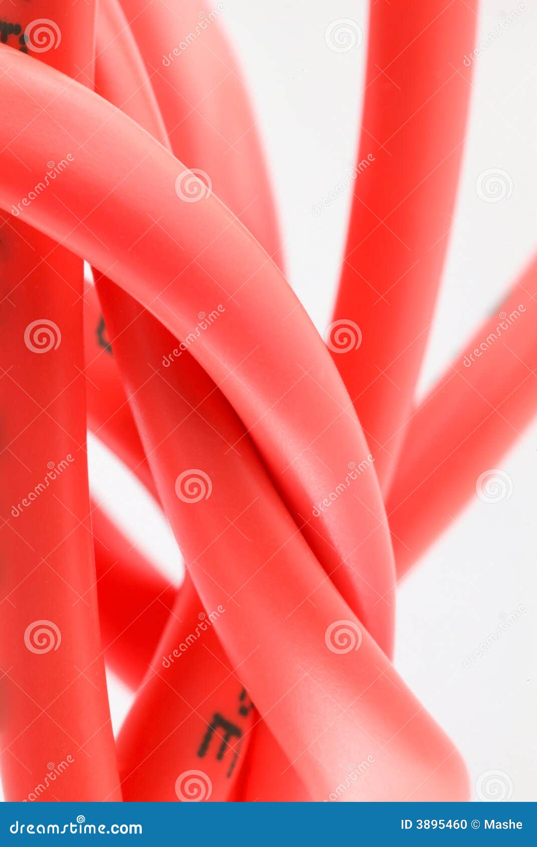 Computer cable stock photo. Image of electrical, interconnect - 3895460