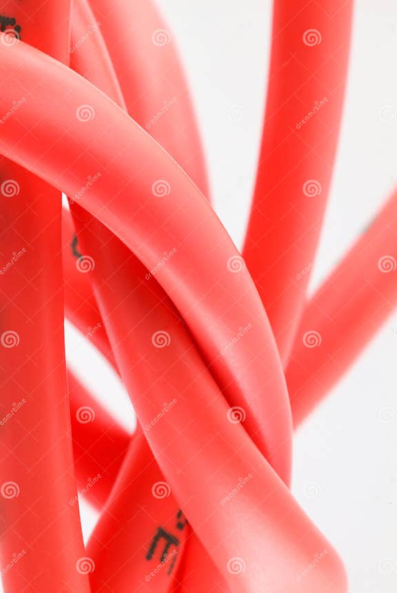 Computer cable stock photo. Image of electrical, interconnect - 3895460