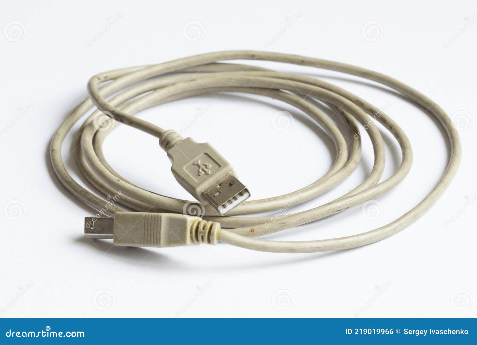 Computer cable. stock photo. Image of isolated, electrical - 219019966