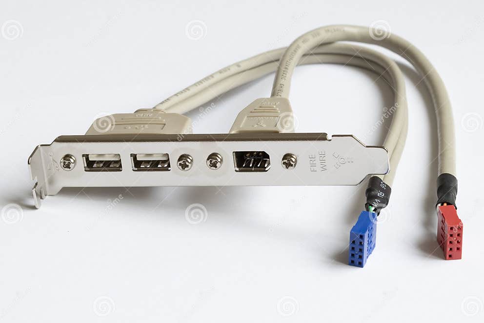 Computer cable. stock photo. Image of electronic, cable - 219019970