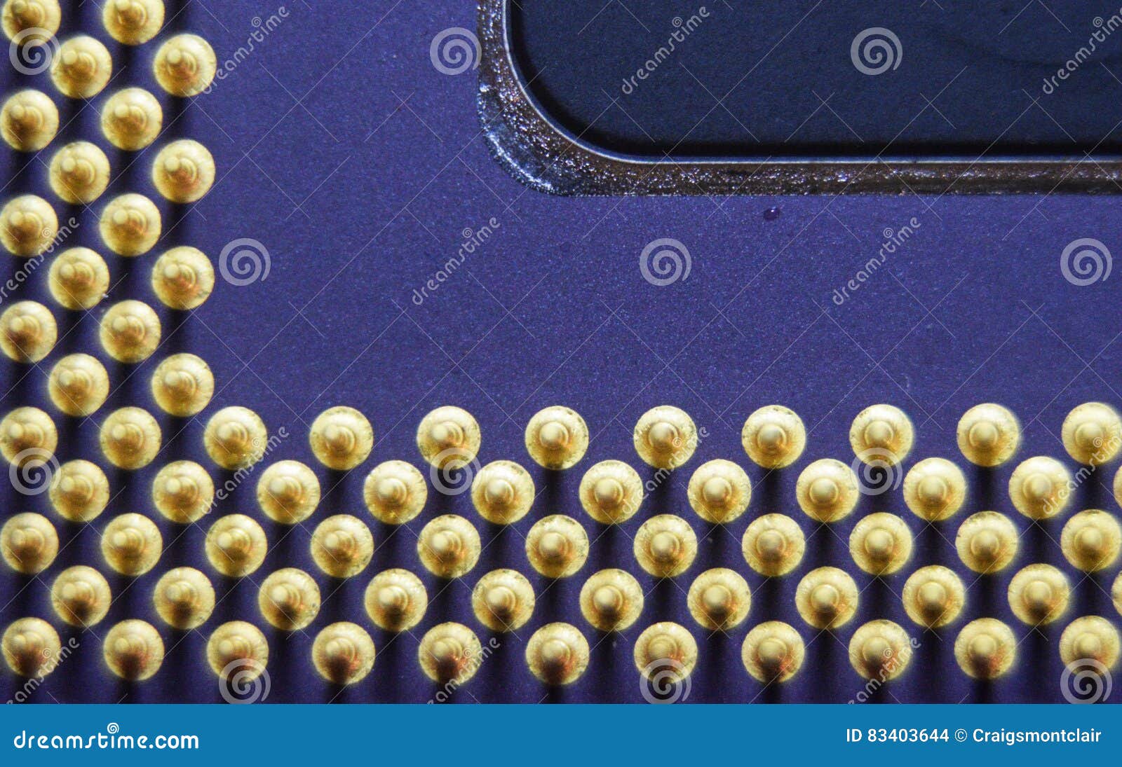 Computer Chip Pins Cpu Processor Pentium Magnified. Stock Photo - Image ...