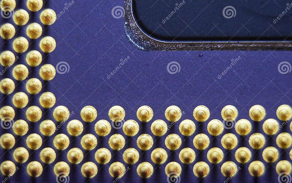 Computer Chip Pins Cpu Processor Pentium Magnified. Stock Photo - Image ...