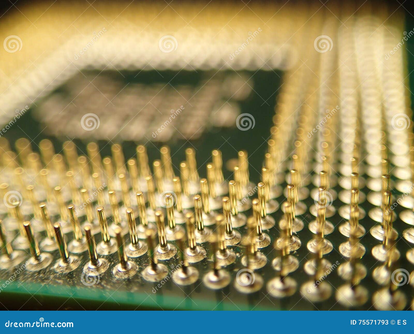 Computer Chip Pins stock image. Image of color, development - 75571793