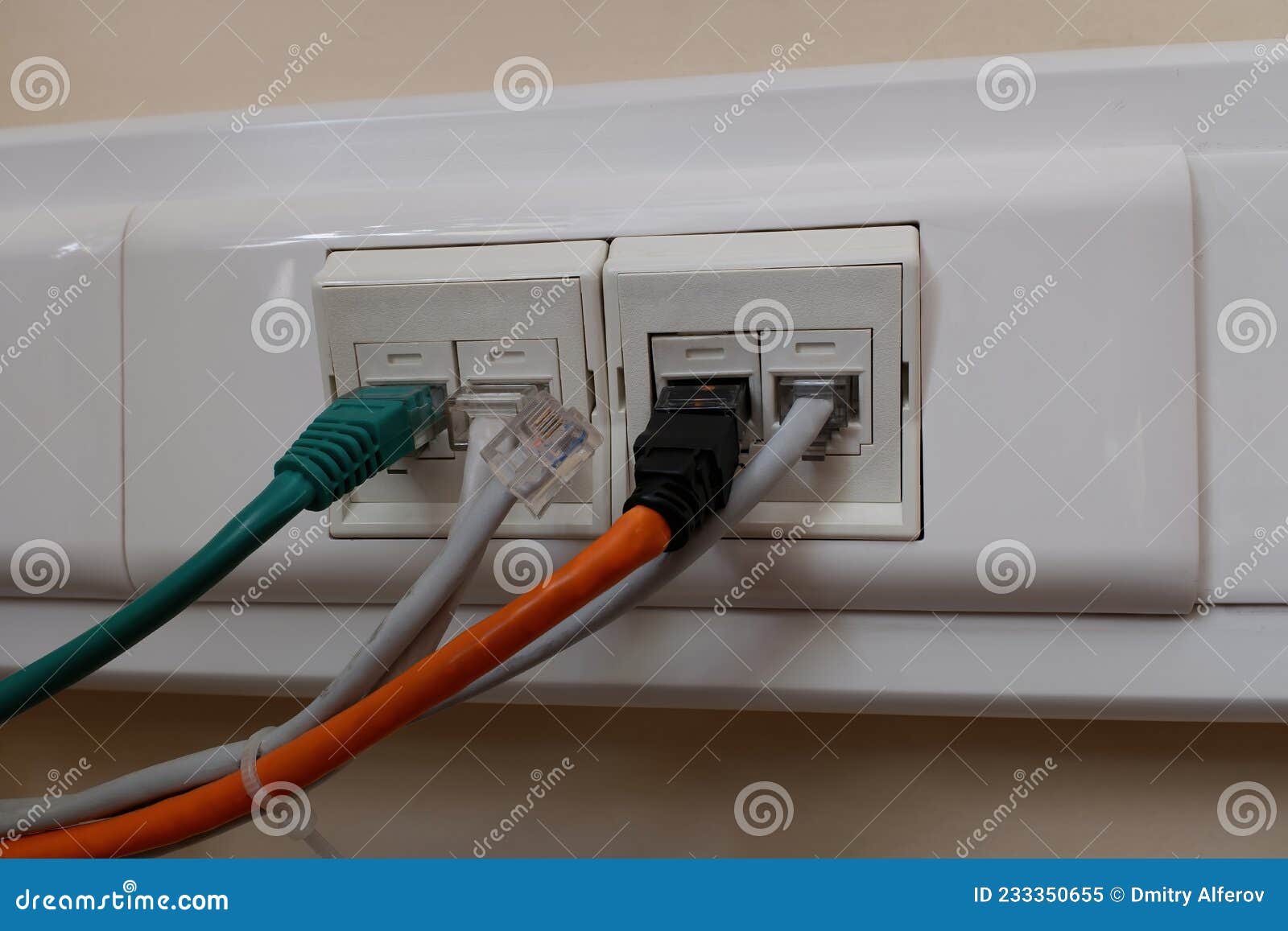 Computer Connectors are Inserted into Sockets Twisted Pair Patch Cord ...