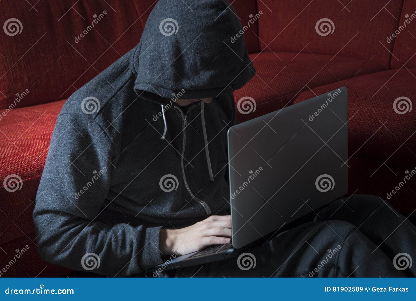 Computer Crime Pirate Hacking Stock Image - Image of fishing, digital ...