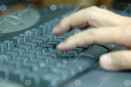 Computer Data Entry stock image. Image of learning, finger - 195163