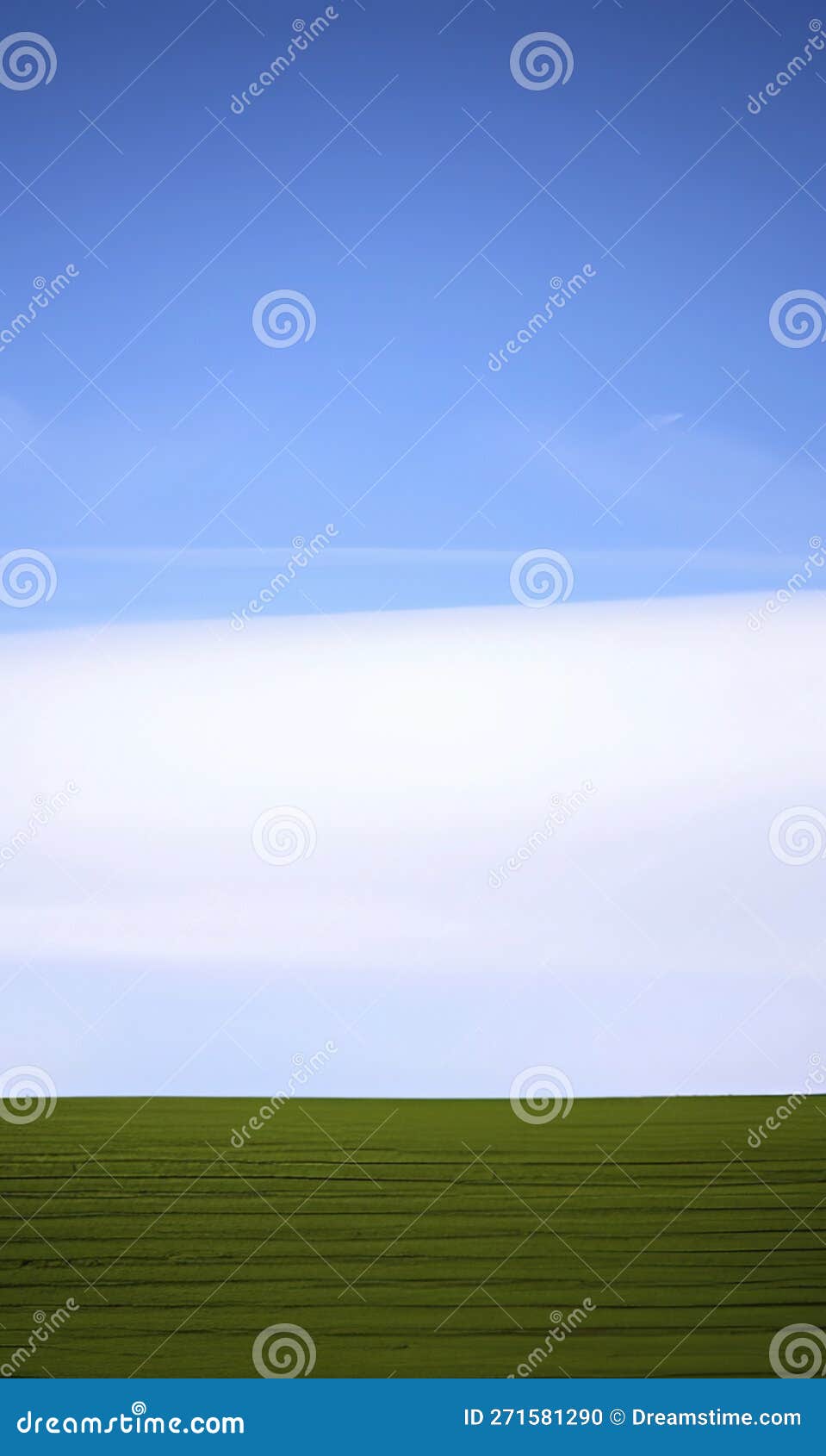 Objectivity Cartoons, Illustrations & Vector Stock Images - 602 ...