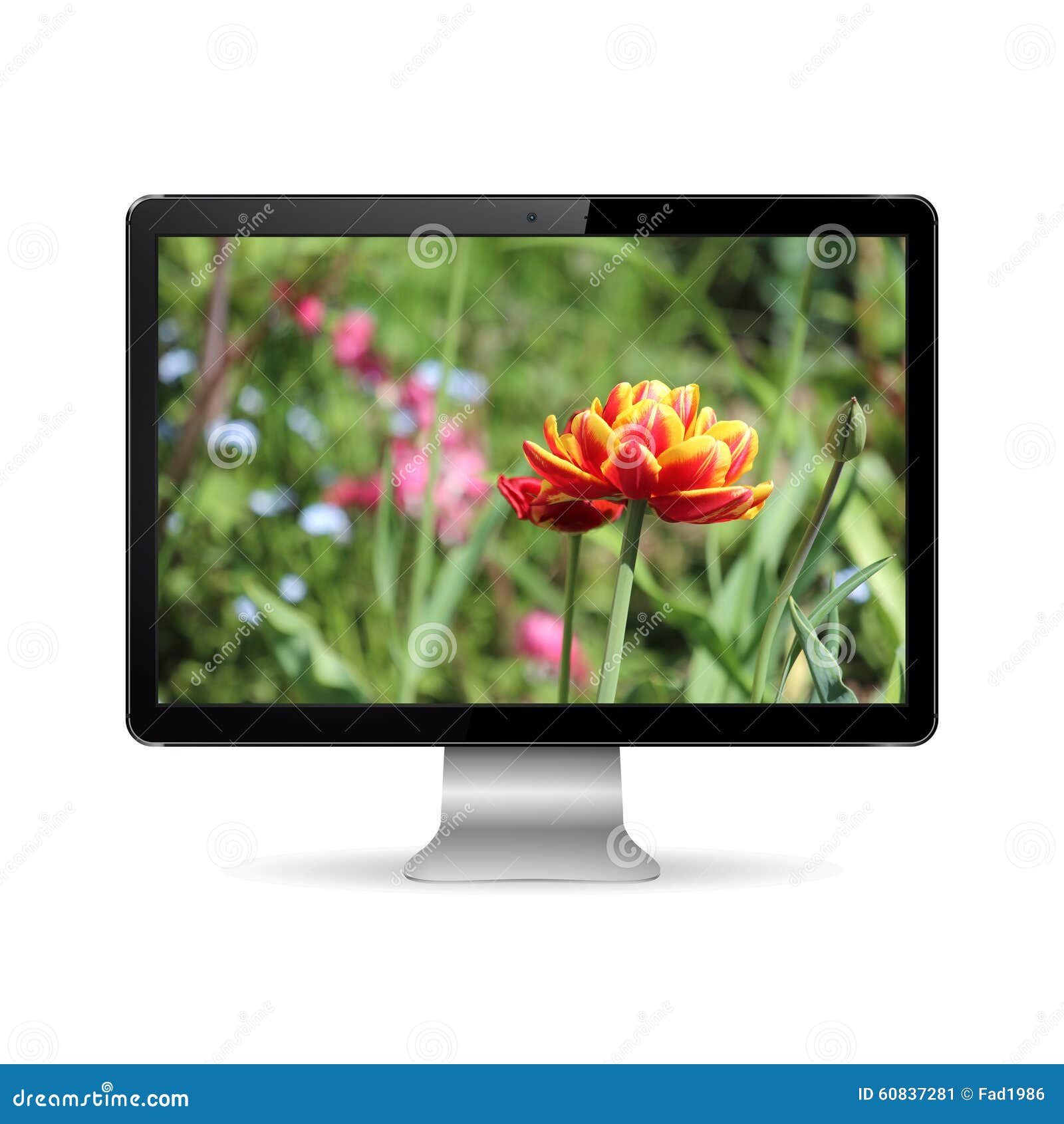 Computer Display with Flowers on Screen Stock Image - Image of ...