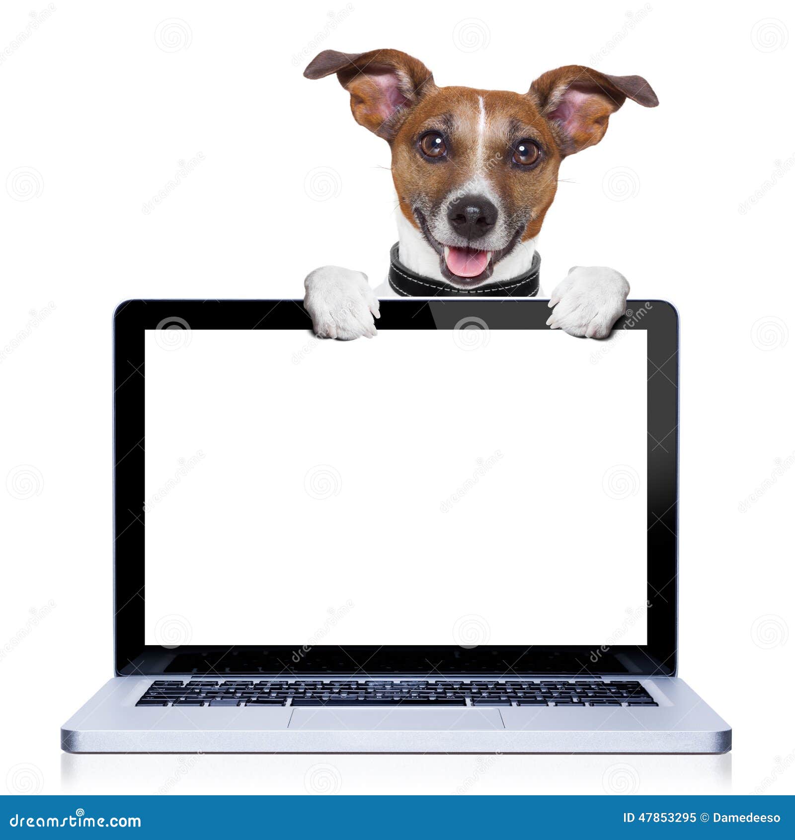 Computer dog stock image. Image of keyboard, animal, digital - 47853295