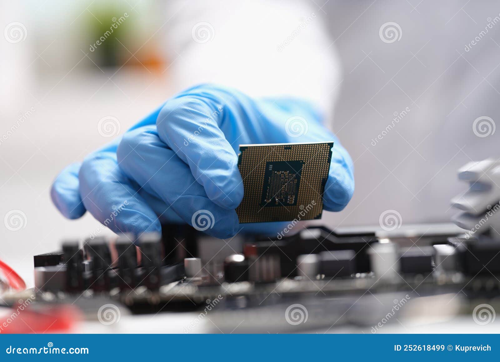 Computer Engineers Hand is Holding Cpu Processor Stock Image - Image of device, component: 252618499
